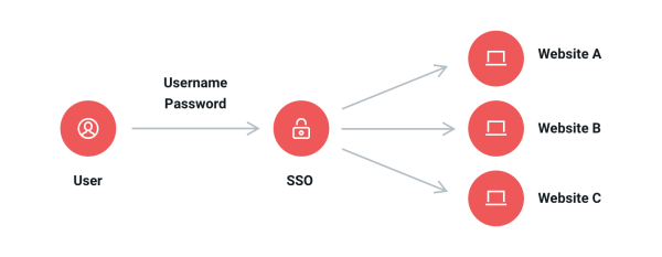 What is SSO ID and How Does It Work? - Punjab Educare