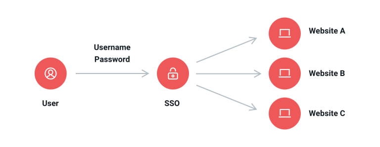 What is SSO ID and How Does It Work? - Punjab Educare